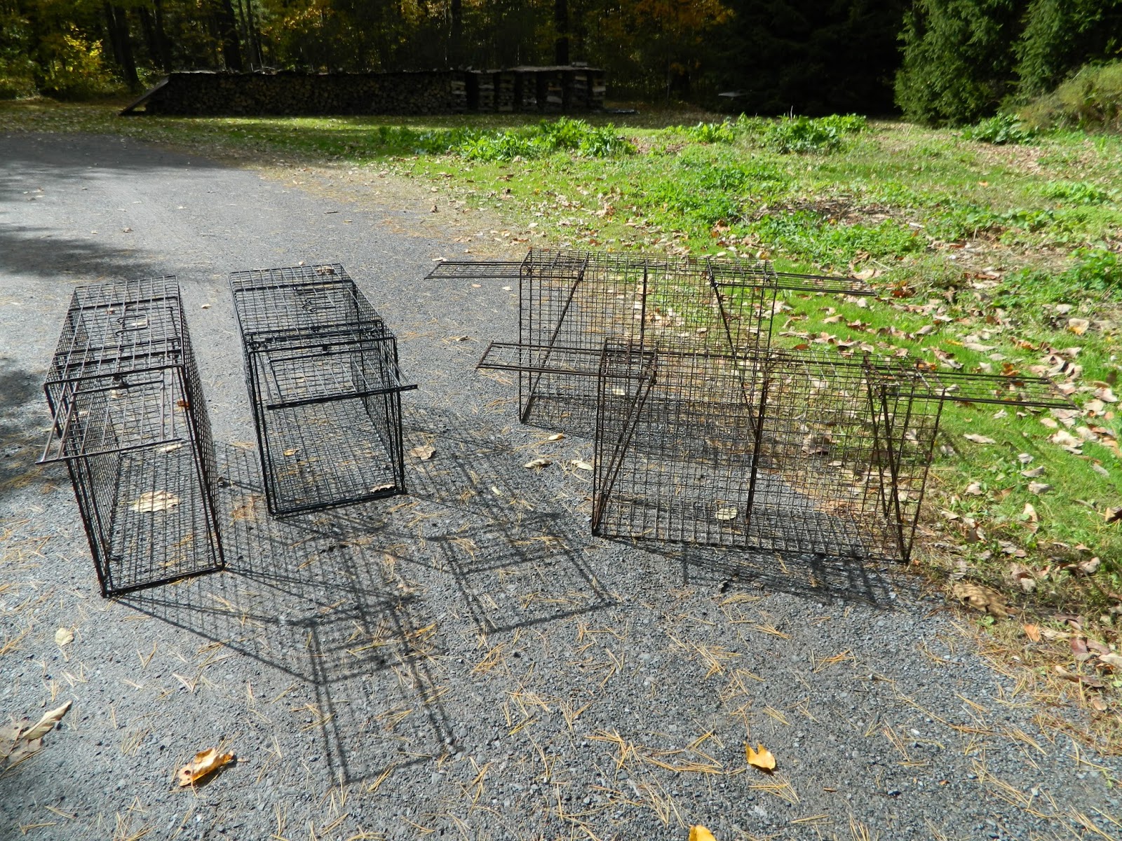 New Pan-less Powered Door – Comstock Custom Cage