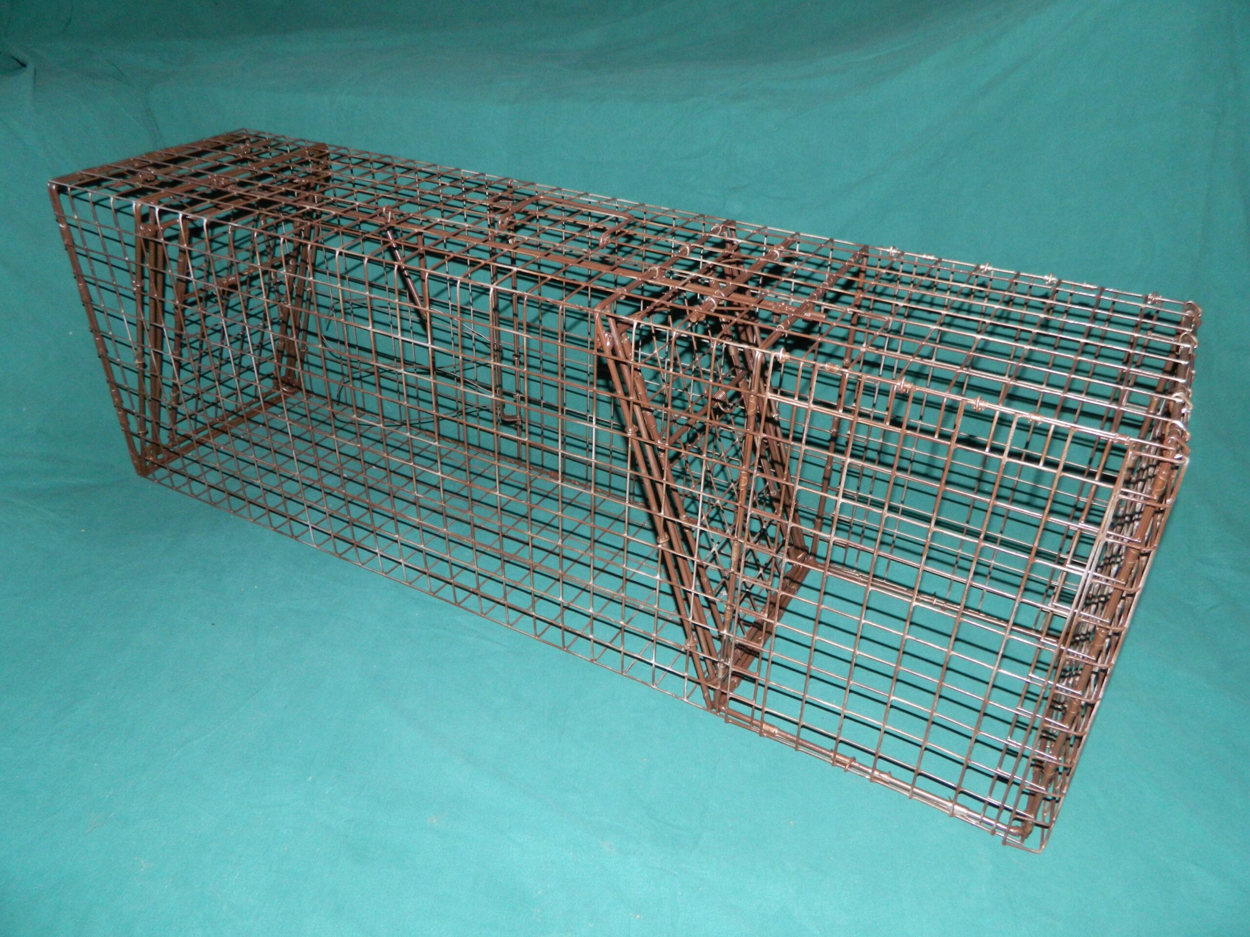 Custom Multipurpose Fox Cage Trap - Comstock Custom Cage