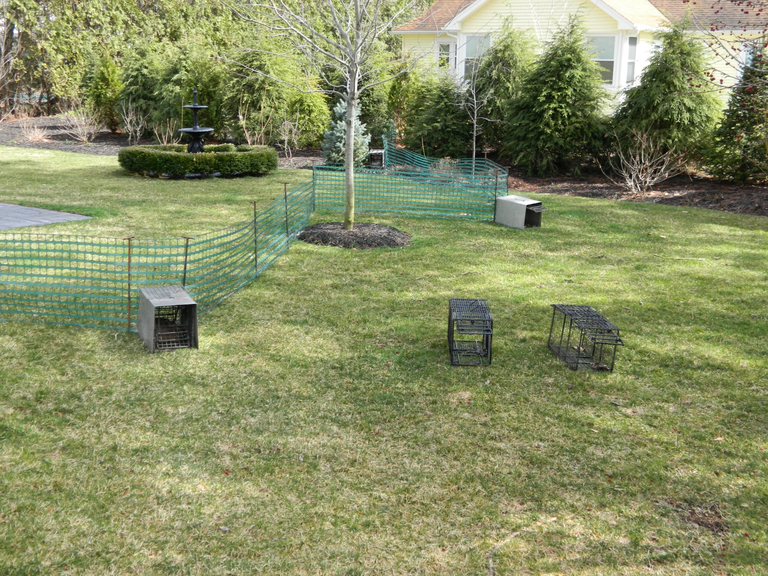 Drift Fencing with Comstock's - Comstock Custom Cages