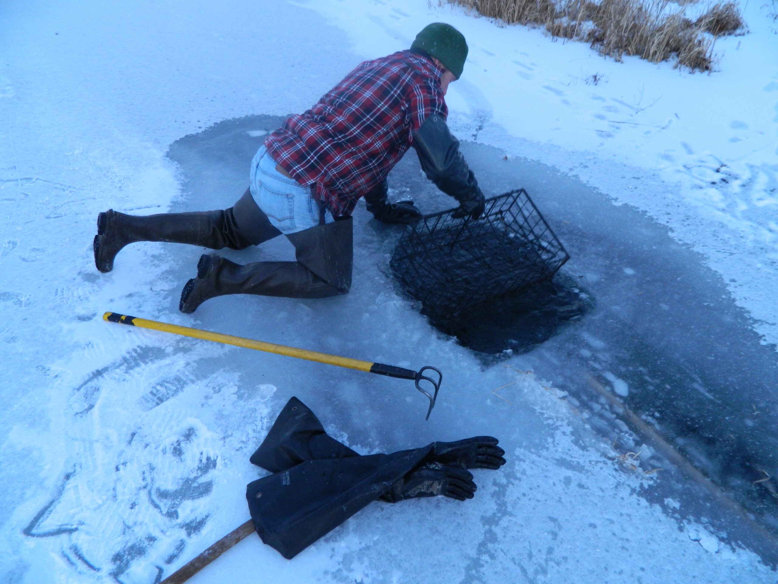 A Different Mind Set Using Wide 12x18x39 Comstock Cage Traps, Under Ice ...