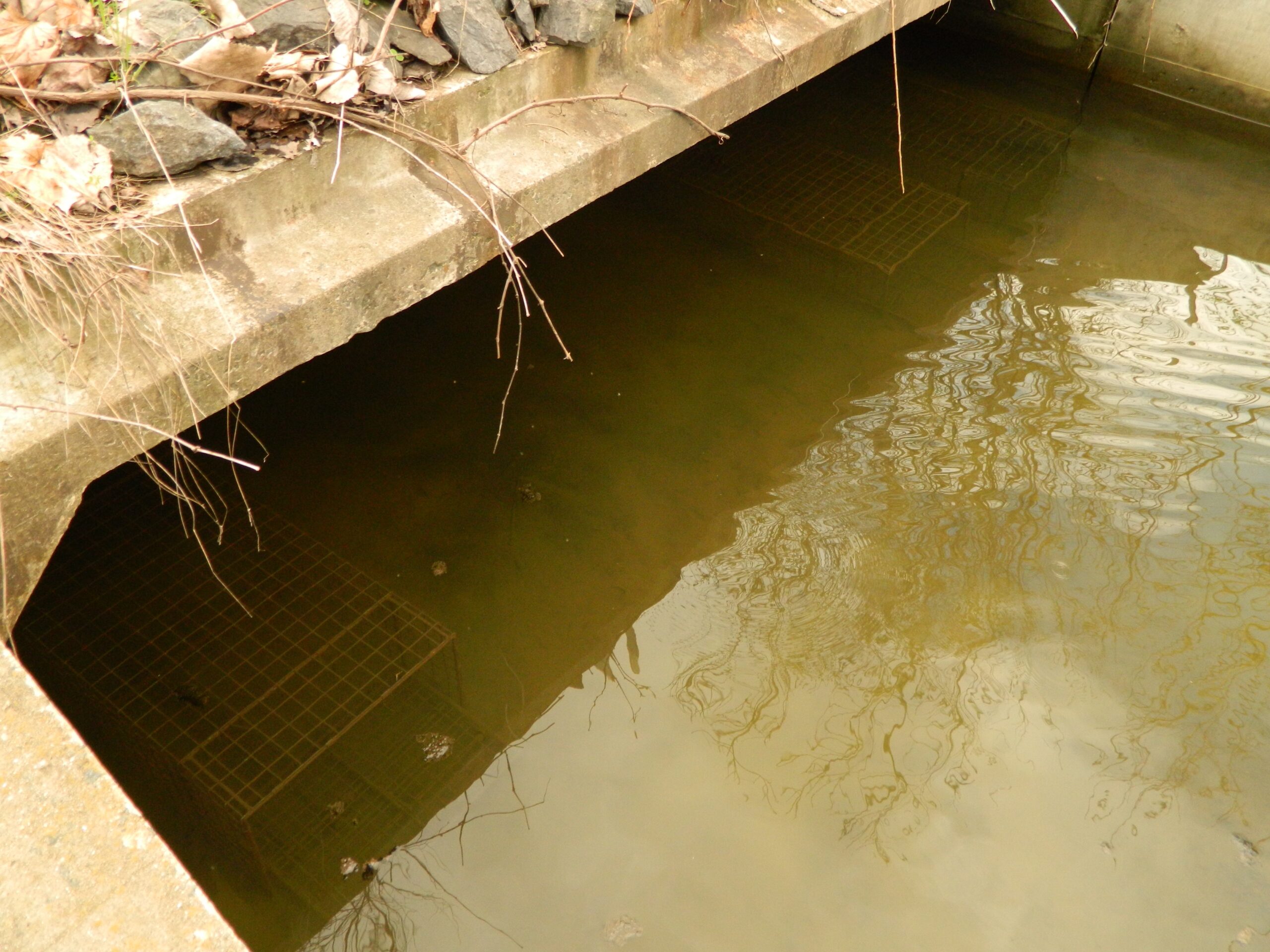 Bottom Edge Set with Comstock Swim Through Beaver Cage Traps - Comstock ...