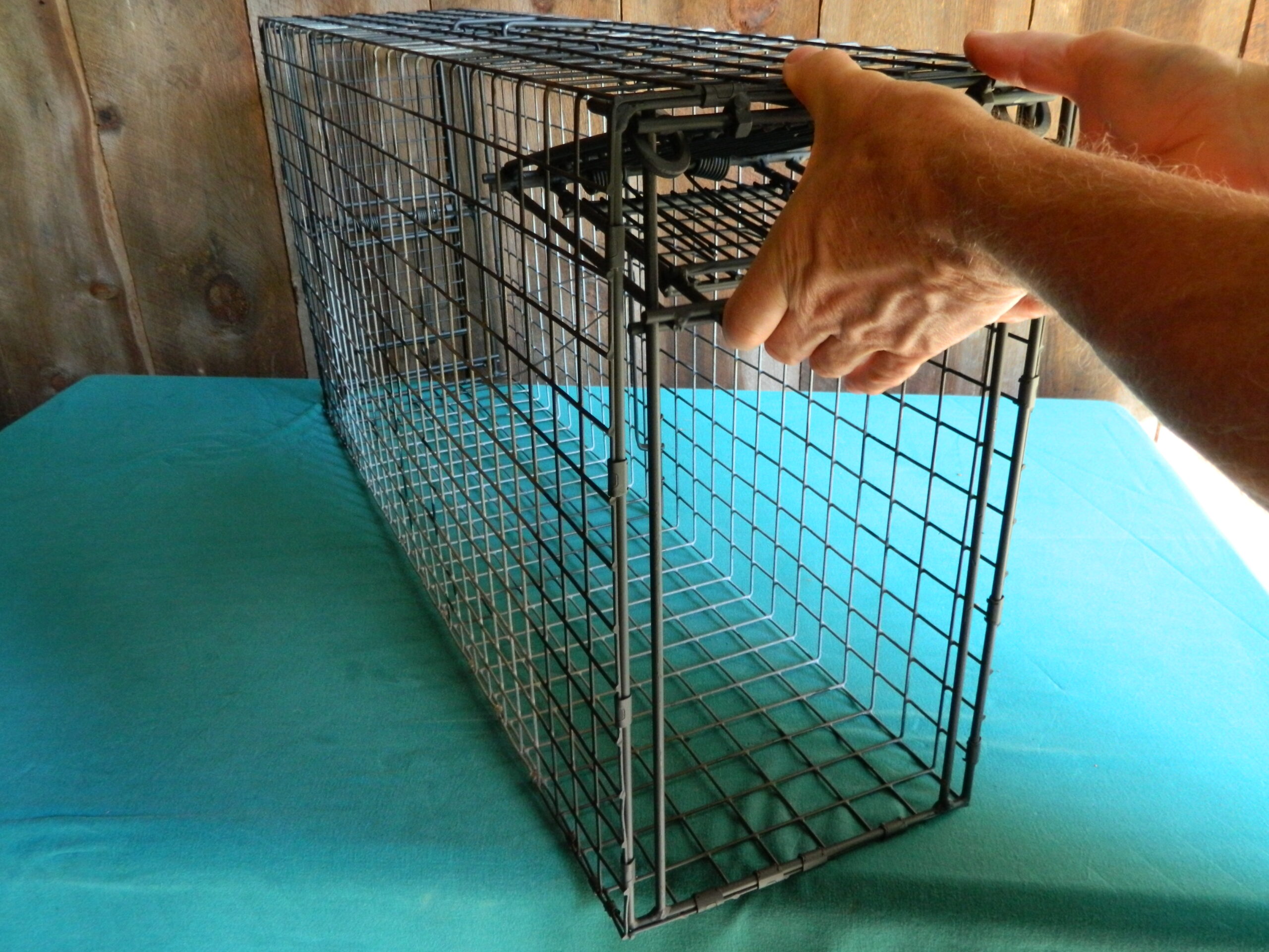 King of the Double Door Cage Traps - Comstock Custom Cage
